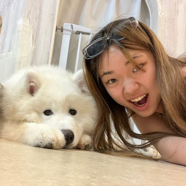 CS1952Z | Robots as a Medium